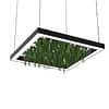 Biophilic Lighting - Office Biophilia - Synergy Creativ