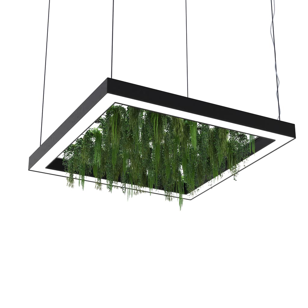 Biophilic Lighting - Office Biophilia - Synergy Creativ