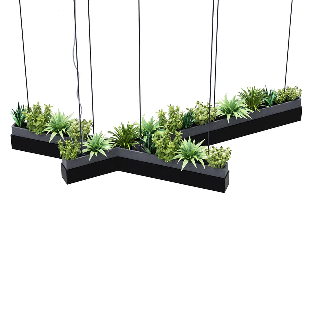 Harstad Trof - Synergy Creativ