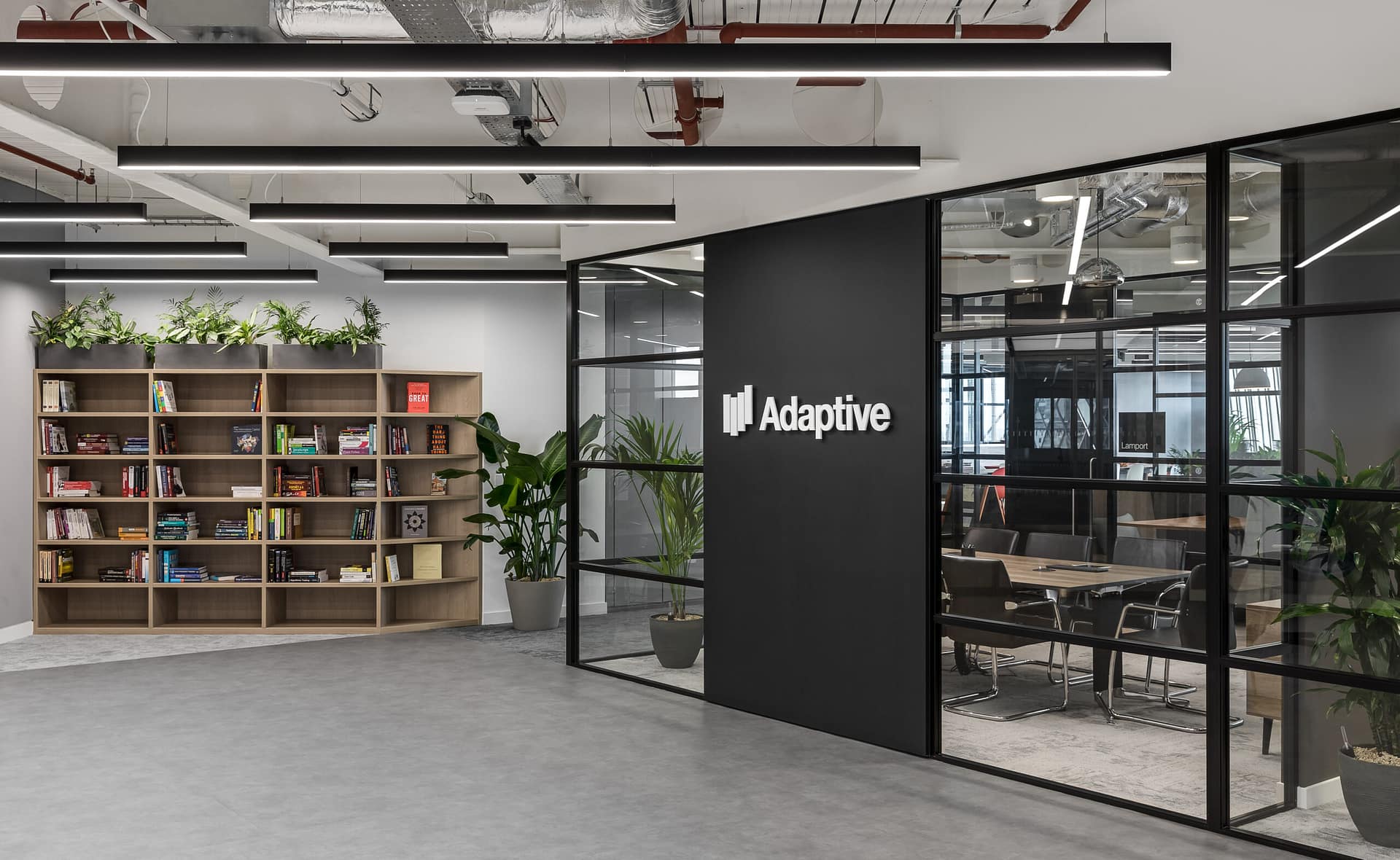 Adaptive Financial Consulting - Lighting Case Study - Synergy Creativ